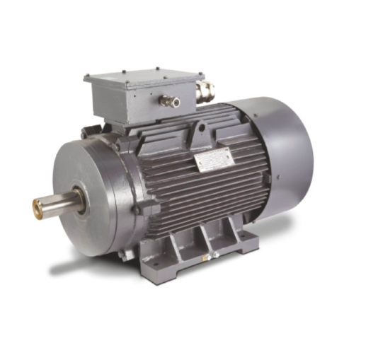 LHP 2.2kW/3.7kW Dual Speed Motor | Mechtrace - Technician on the way